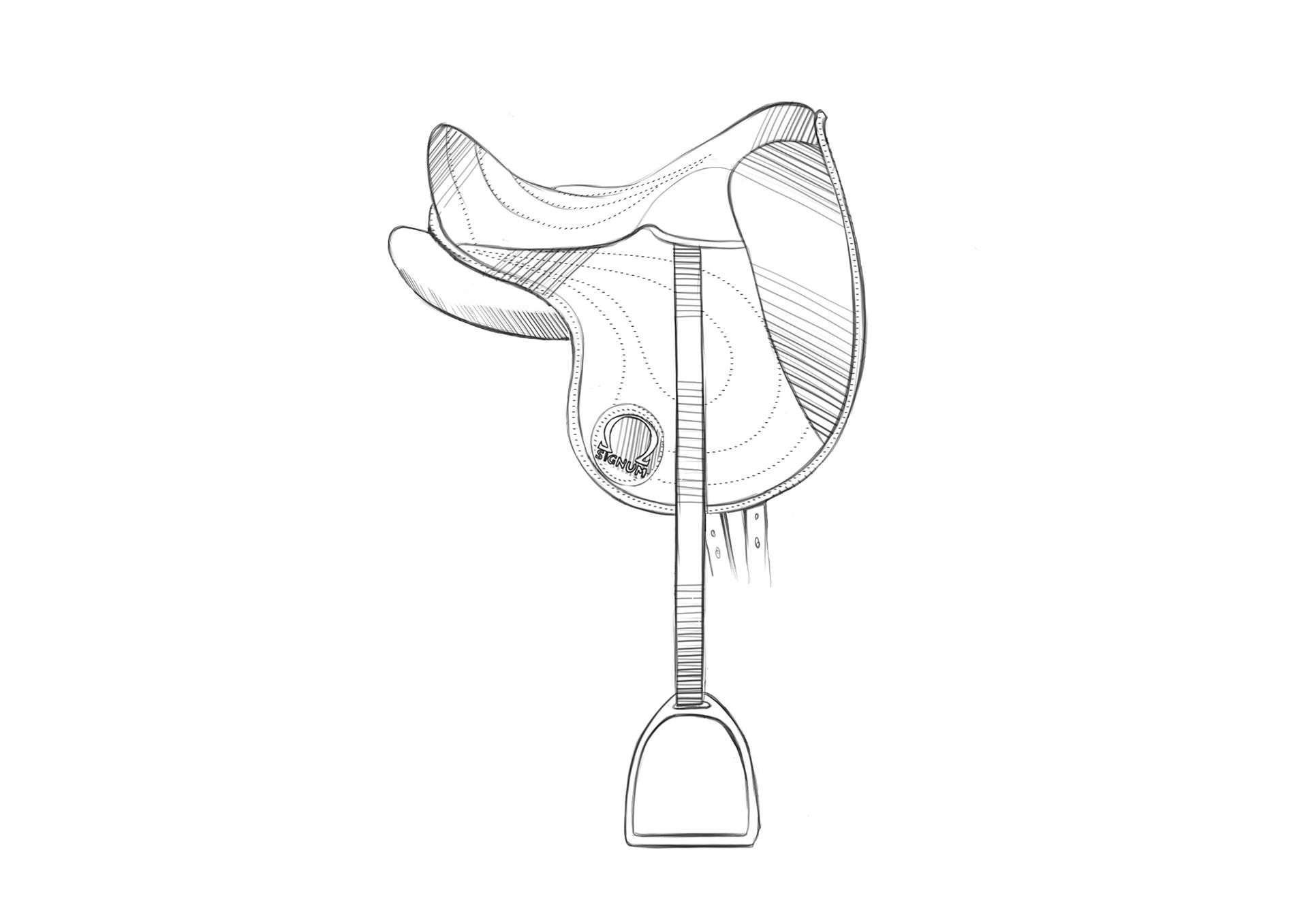 Reitpads_Paddles | Shop Signum Sattelservice