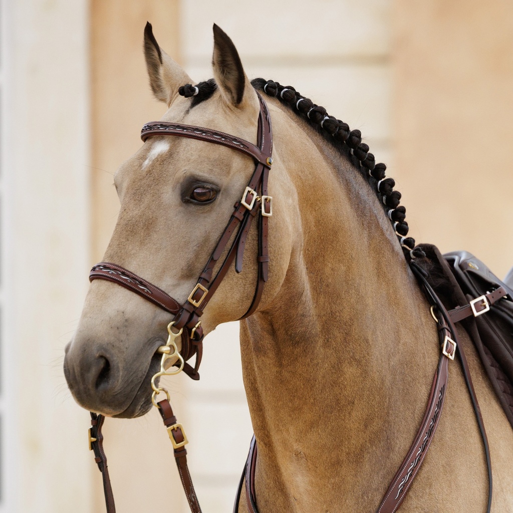 Kenzie Dysli Show Zaum Calada mit Lederzügeln | Shop Signum Sattelservice